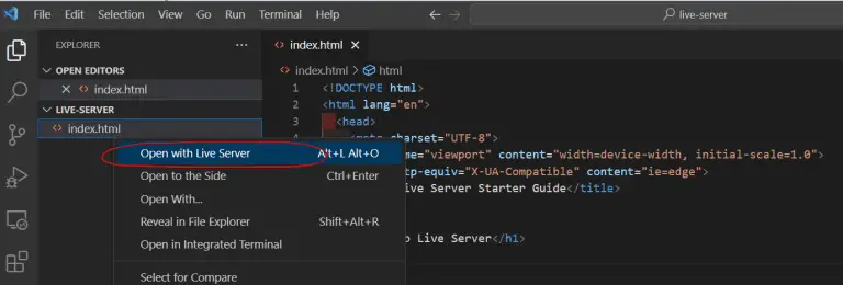 Visual Studio Code Live Server Quickstart Guide - donskytech.com